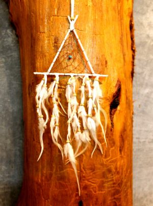 Stilus - Stilus is one of Australia’s leading importers and wholesalers ...