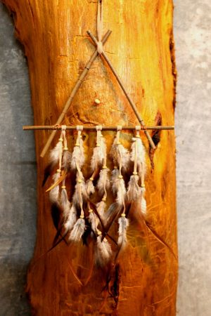 Stilus - Stilus is one of Australia’s leading importers and wholesalers ...